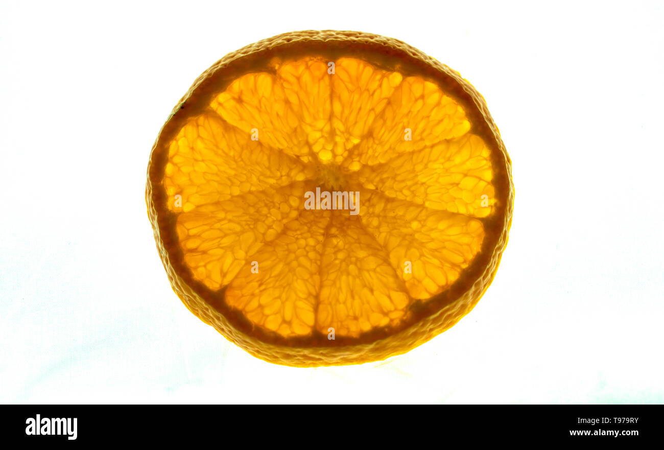 Backlit citrus fruit hi-res stock photography and images - Alamy