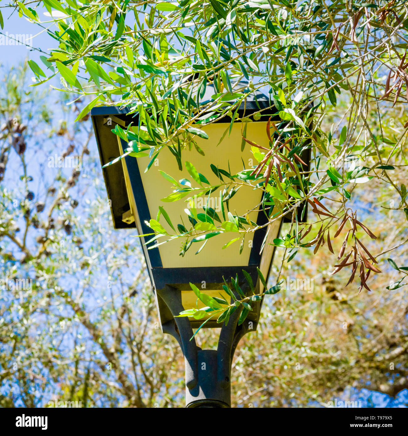 Canopy and lamppost hi-res stock photography and images - Alamy