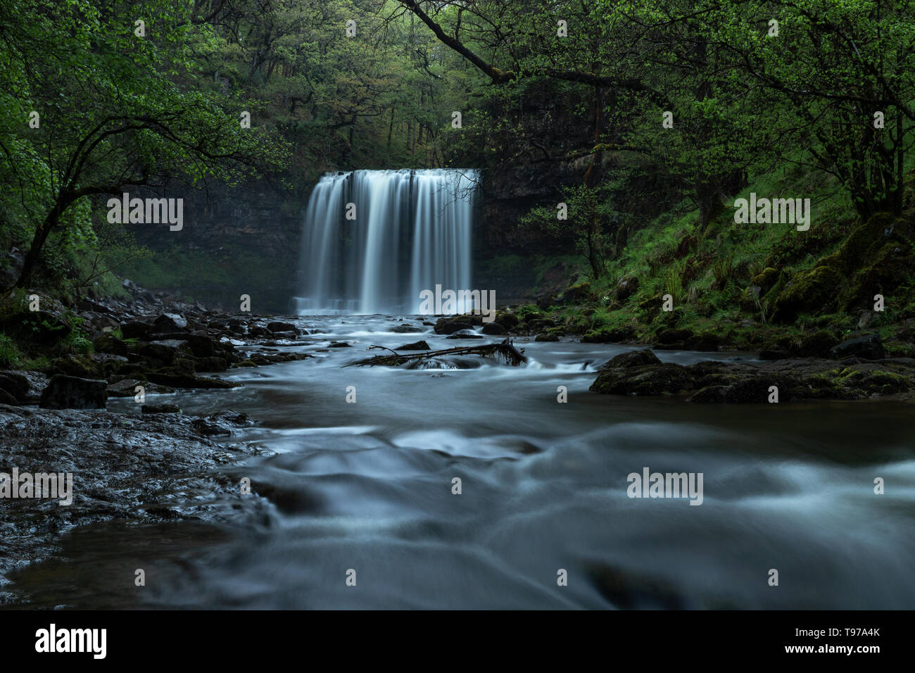 Sgwd yr Eira - the famous falls behind which you can walk, the waters ...