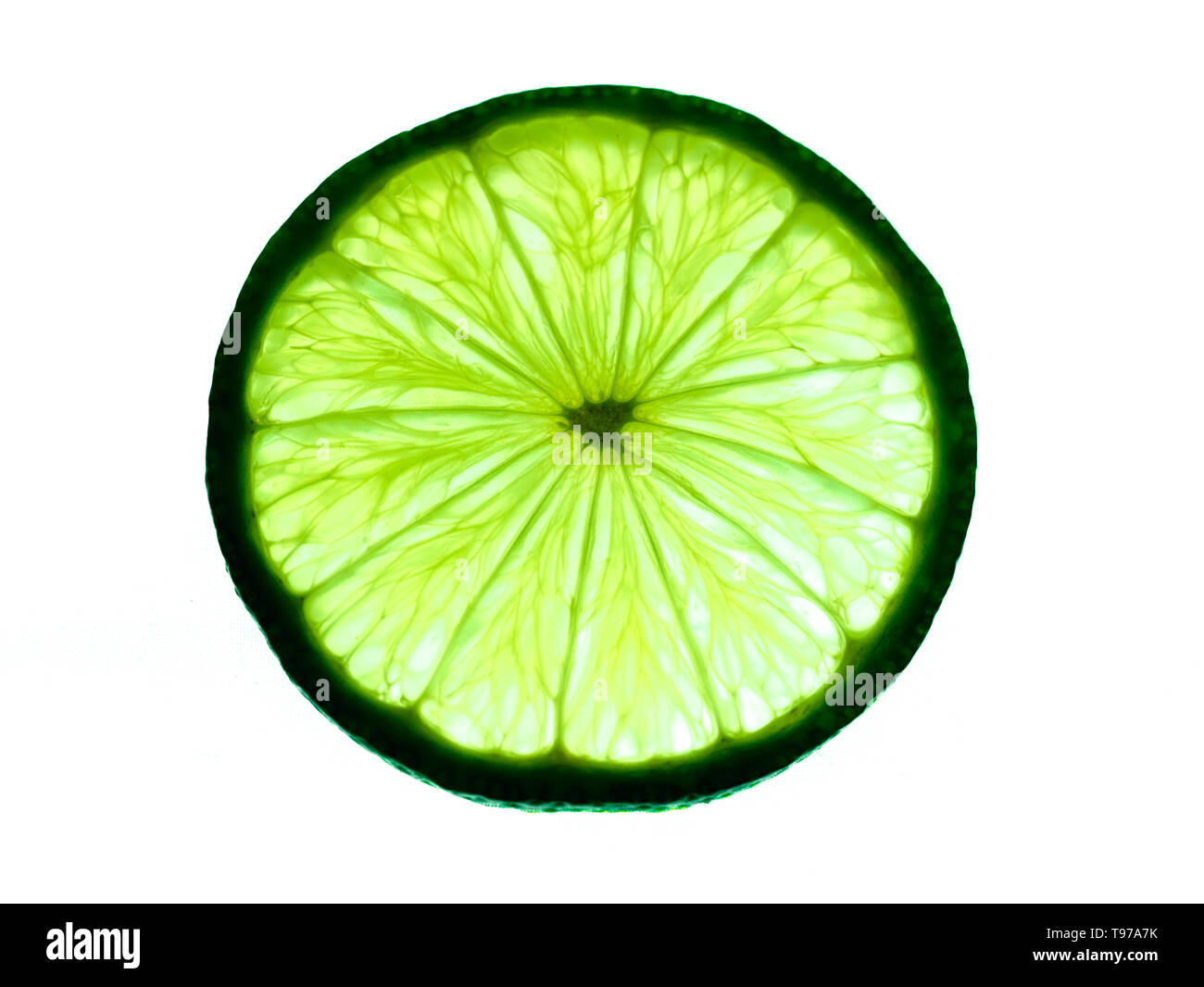 close up view of an isolated and backlit green lime fruit slice on a ...