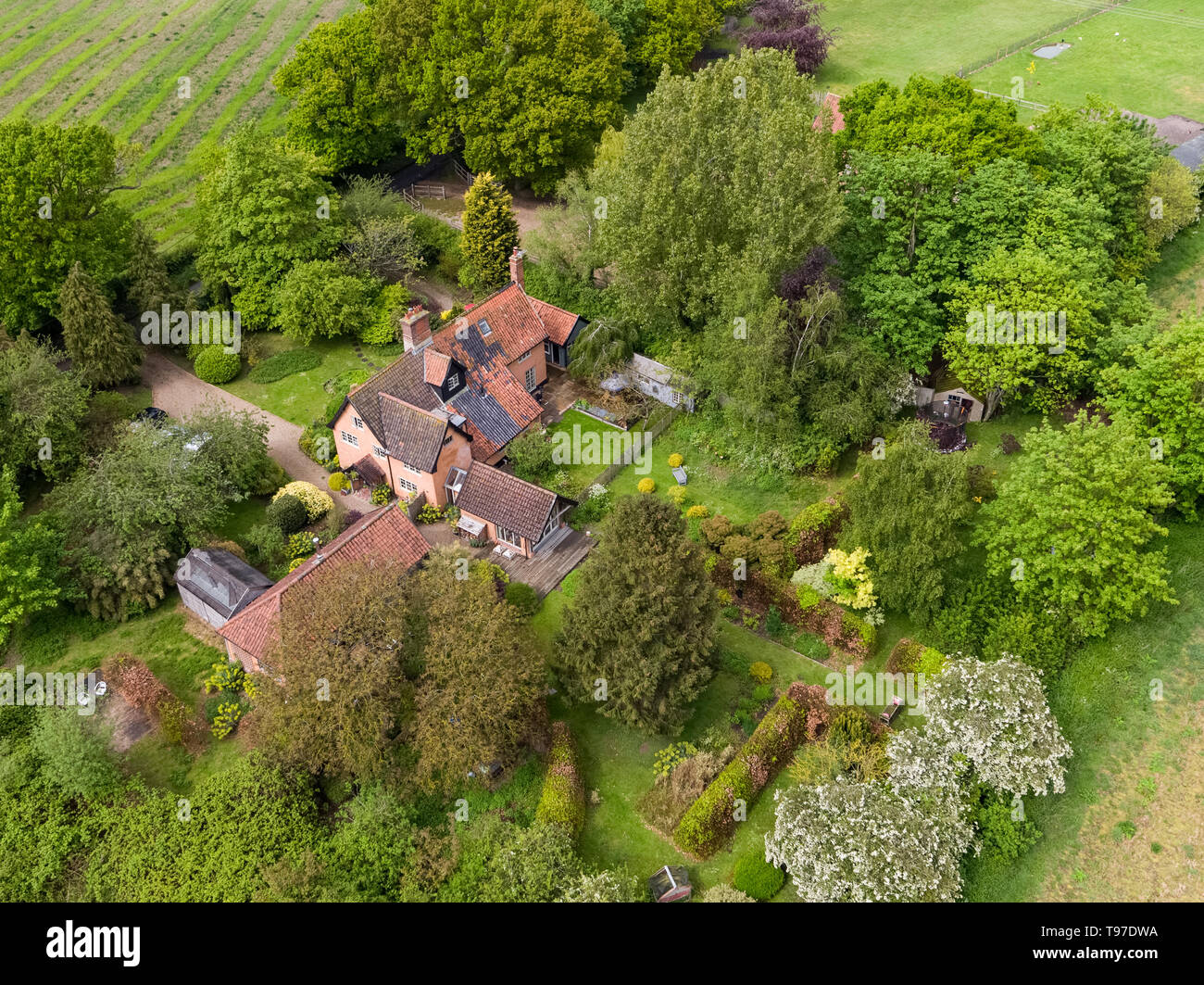 Traditional Suffolk cottage in woodland surrounded by agriculture ...