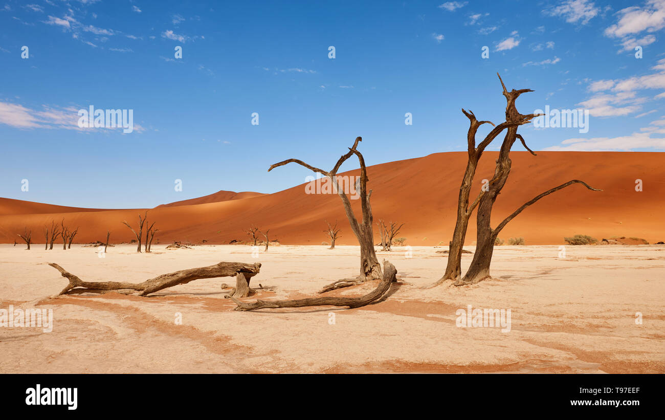 beautiful landscape in the Namib desert at Deadvlei Stock Photo - Alamy
