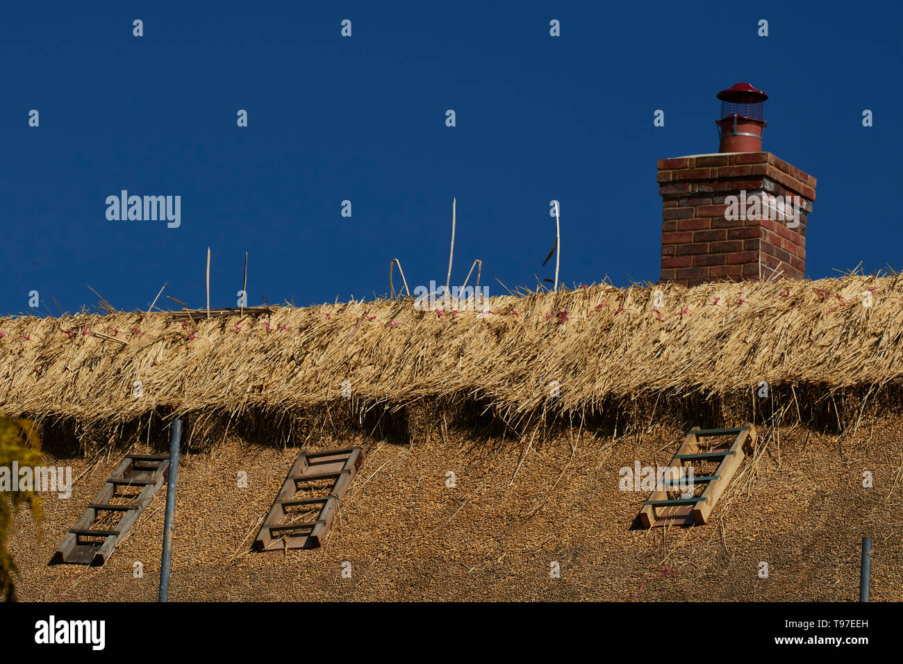 Thatch insulation hi-res stock photography and images - Alamy