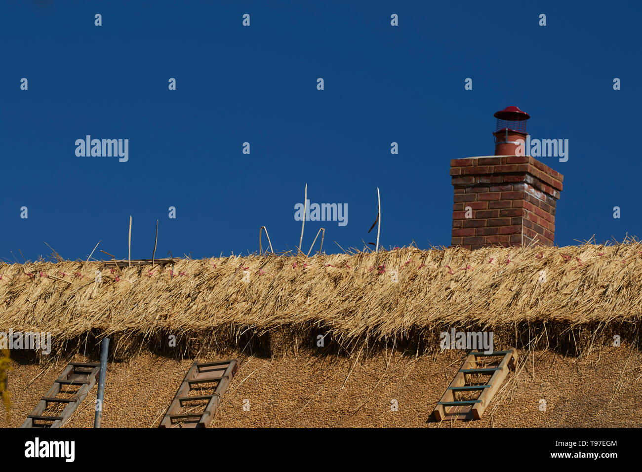 English thatched roof in construction against a clear blue sky near ...