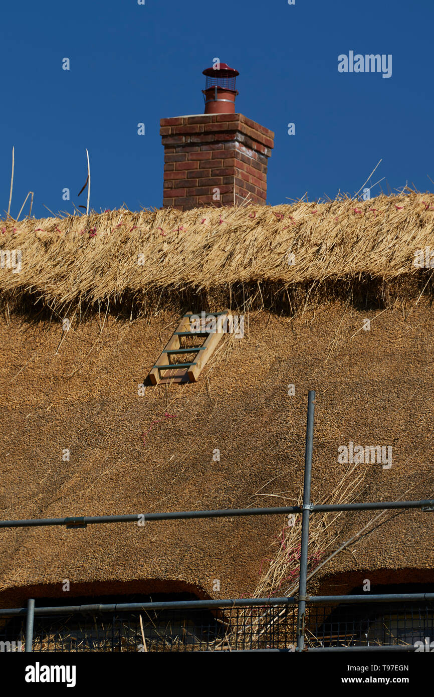 English thatched roof in construction against a clear blue sky near ...