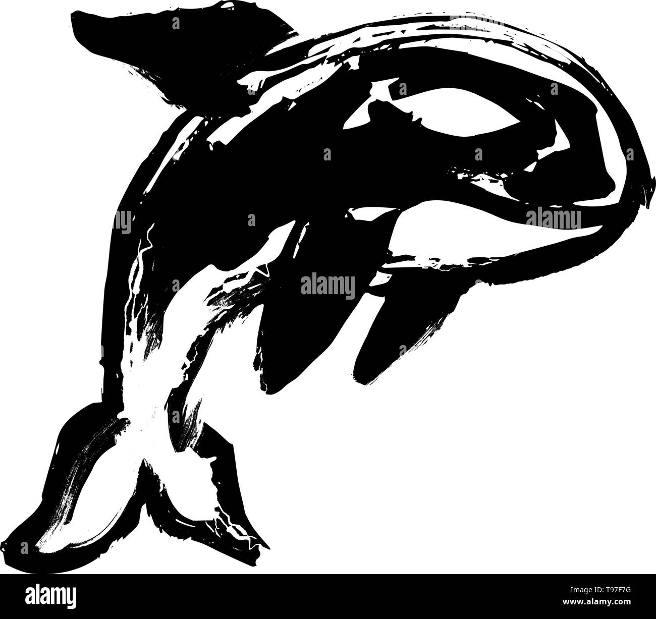 Killer Whale Orca illustration Stock Vector Image & Art - Alamy