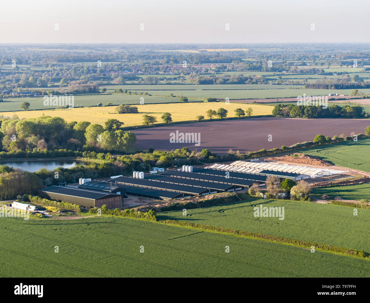 New build chicken housing in the Suffolk countryside in England Stock ...