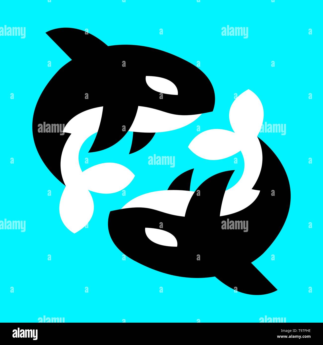 Killer Whale Orca illustration Stock Vector Image & Art - Alamy