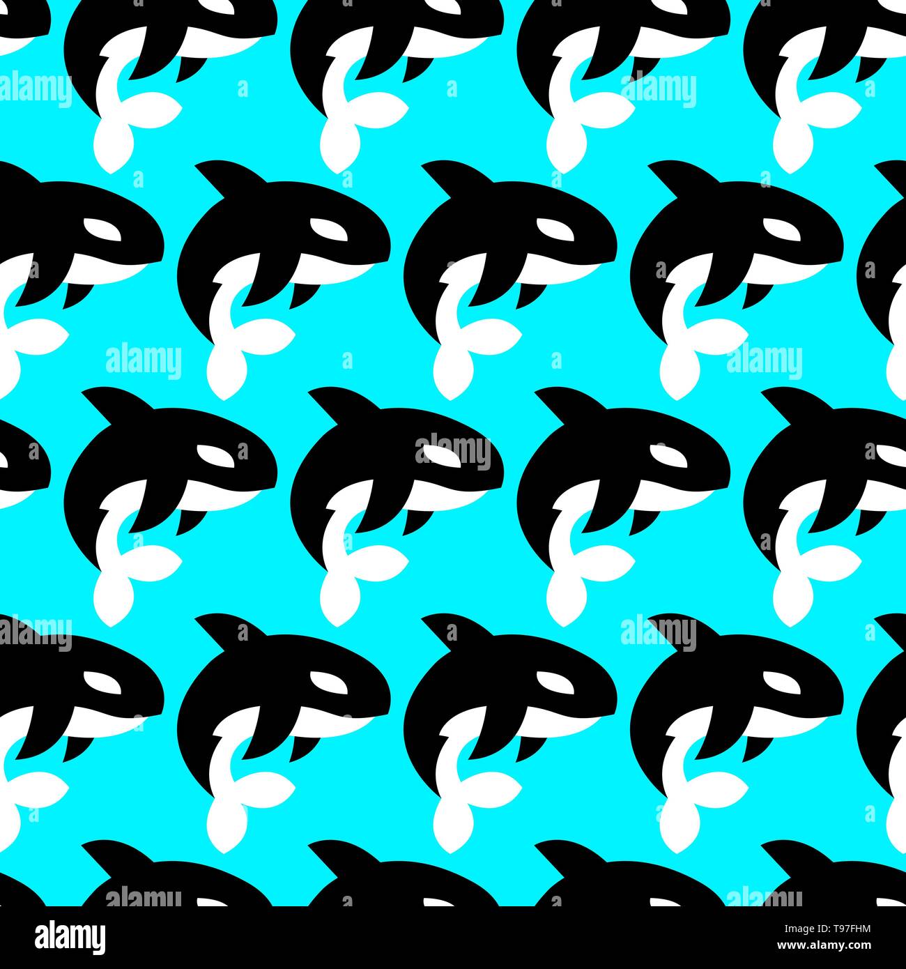 Killer Whale Orca illustration Stock Vector Image & Art - Alamy