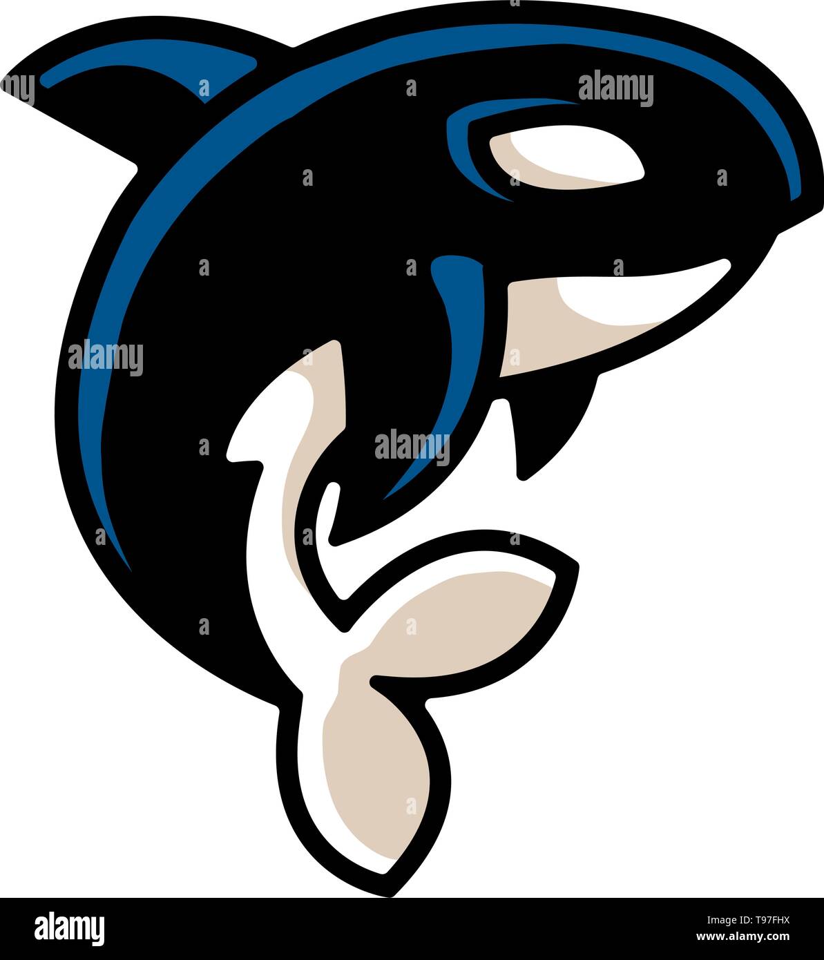 Killer Whale Orca illustration Stock Vector Image & Art - Alamy