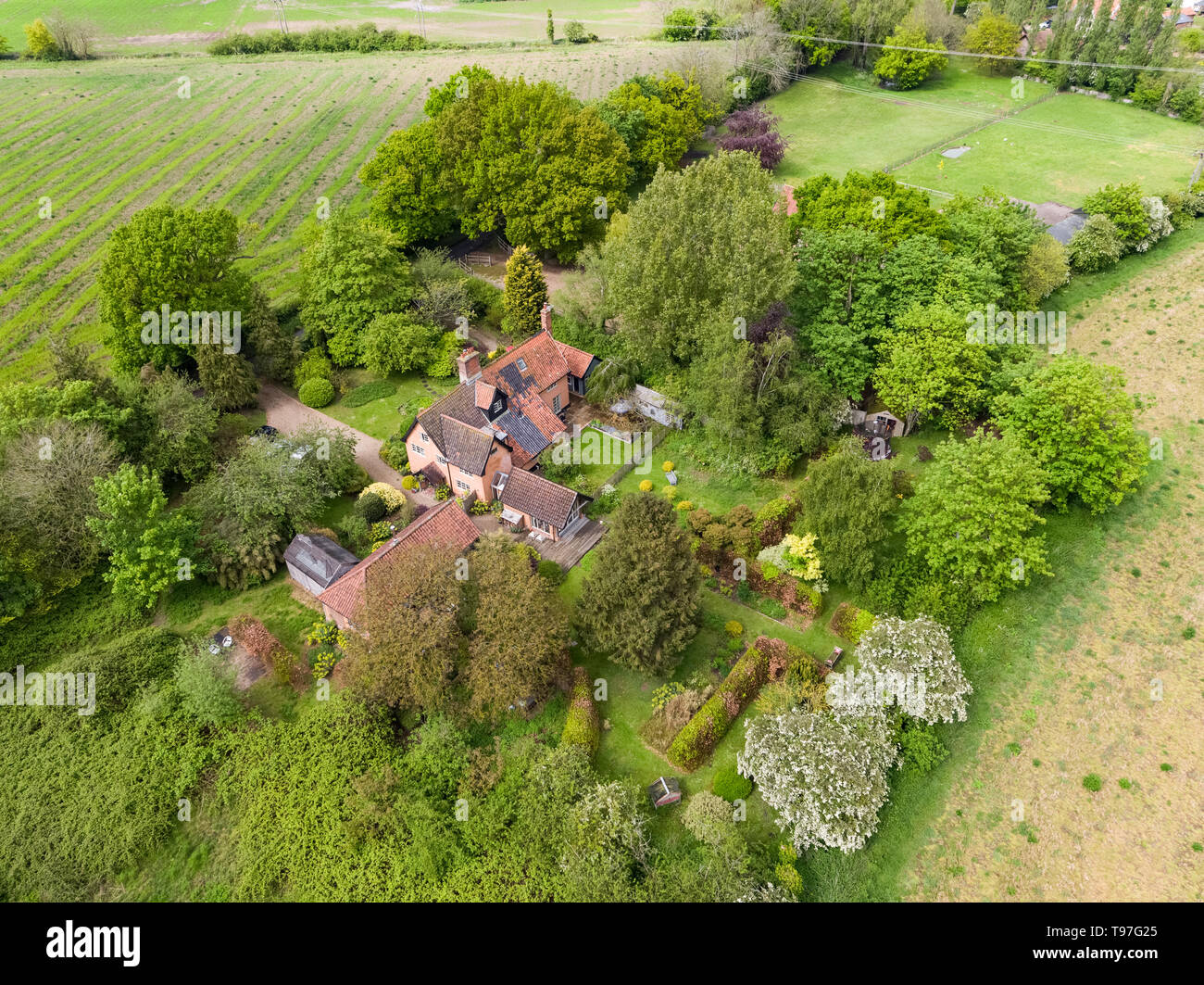 Traditional Suffolk cottage in woodland surrounded by agriculture ...