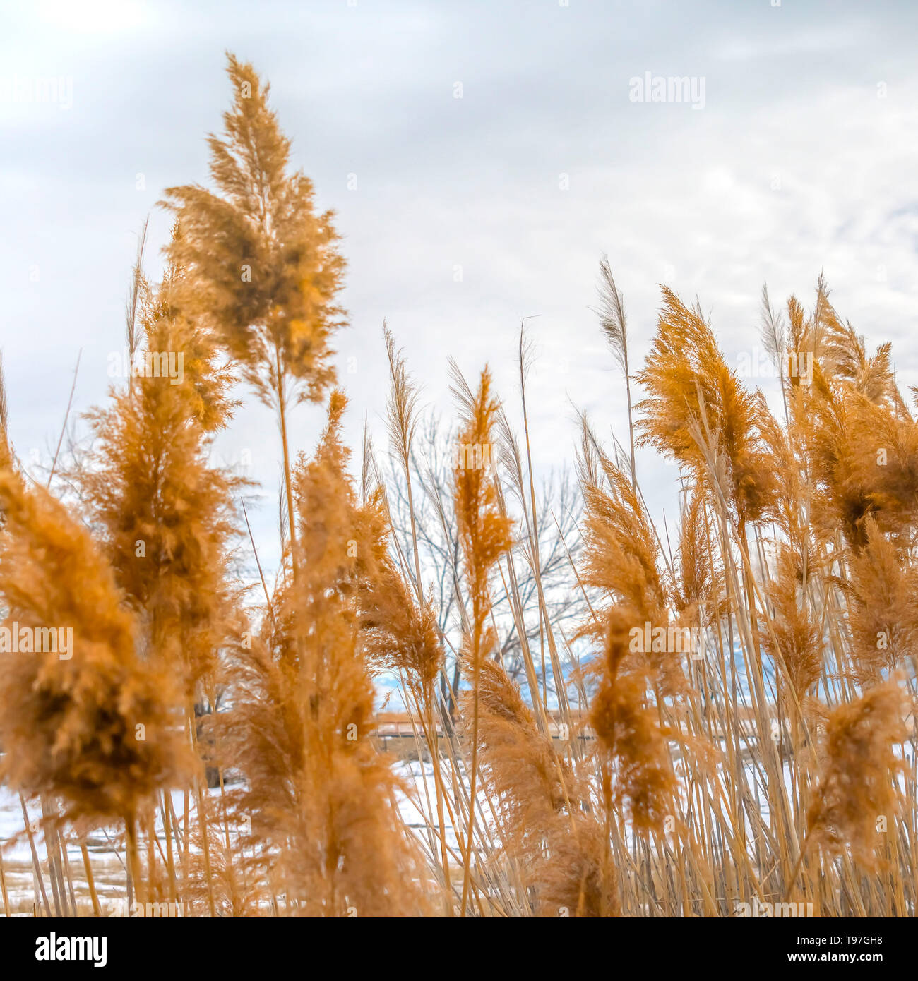 Square vast grassy terrain hi-res stock photography and images - Alamy