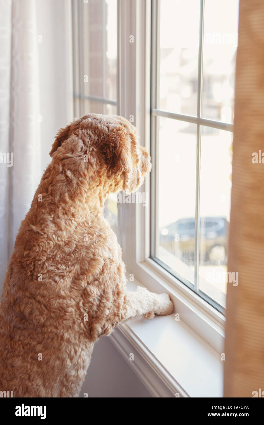 He friend sol hi-res stock photography and images - Alamy