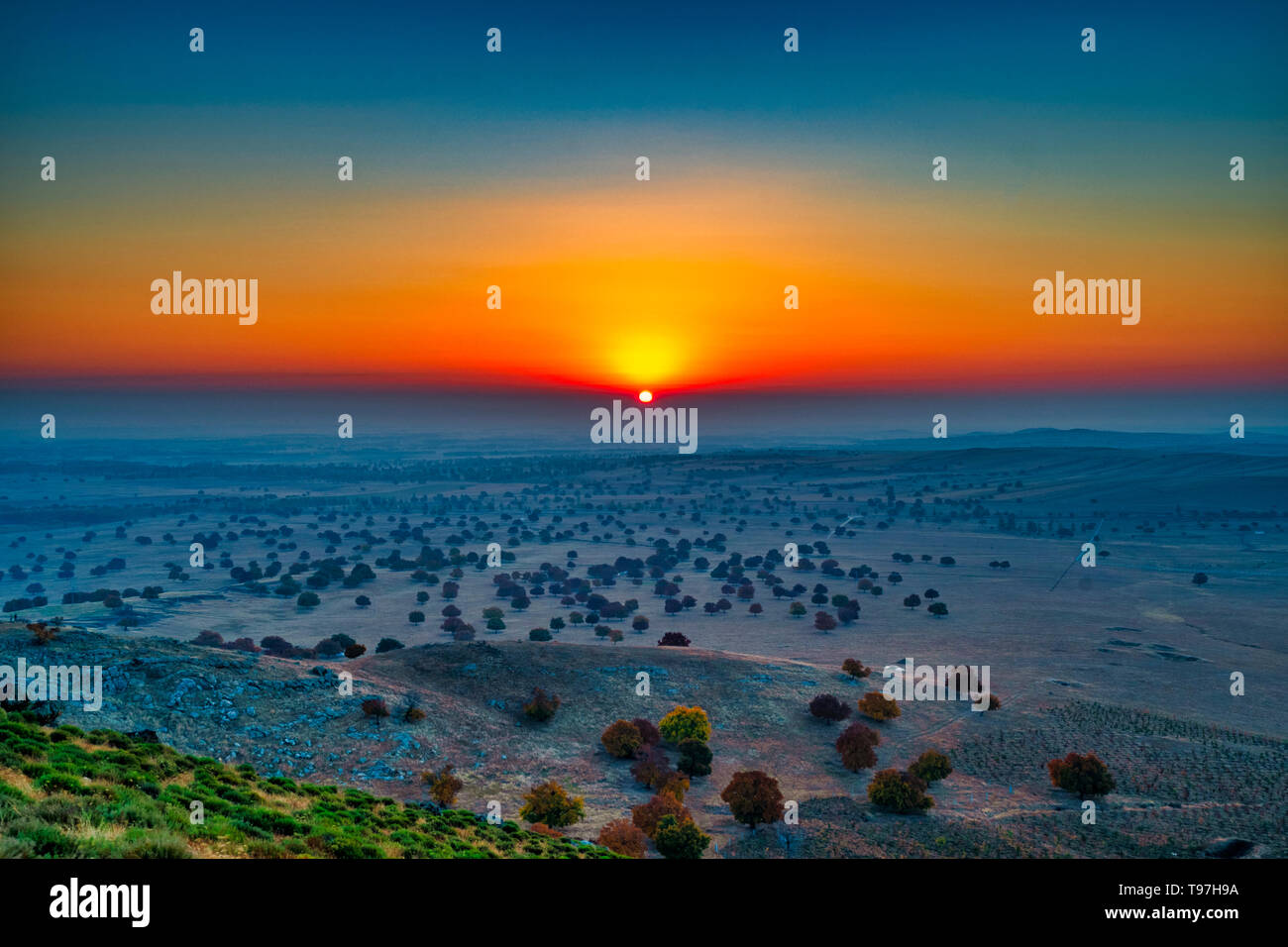 Sunrise against maple tree forest in fog during autumn Stock Photo - Alamy