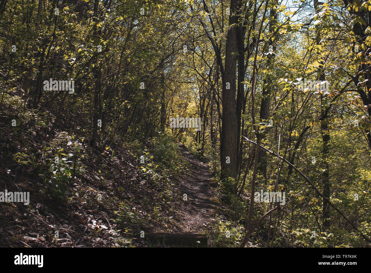 Hiking through the state park i stopped to take this picture of the ...
