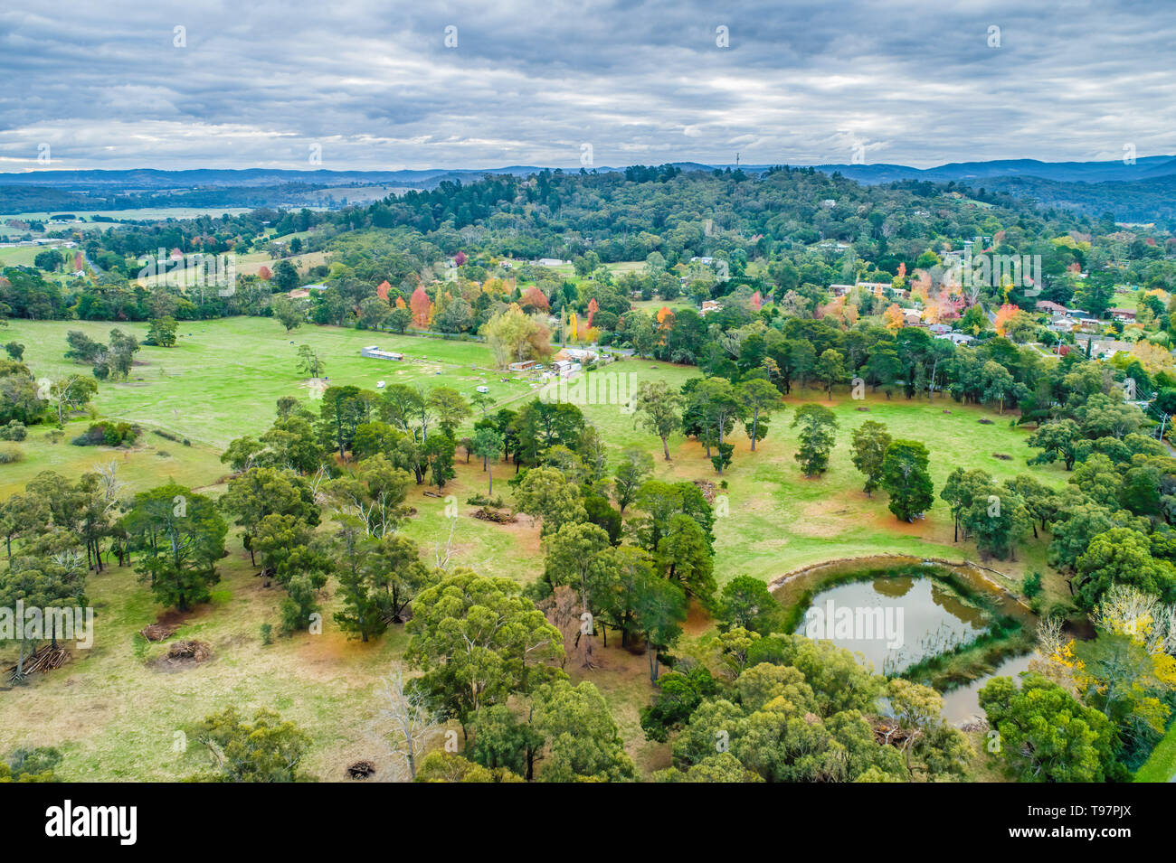 Rural area with trees and grasslands in Victoria, Australia - aerial ...