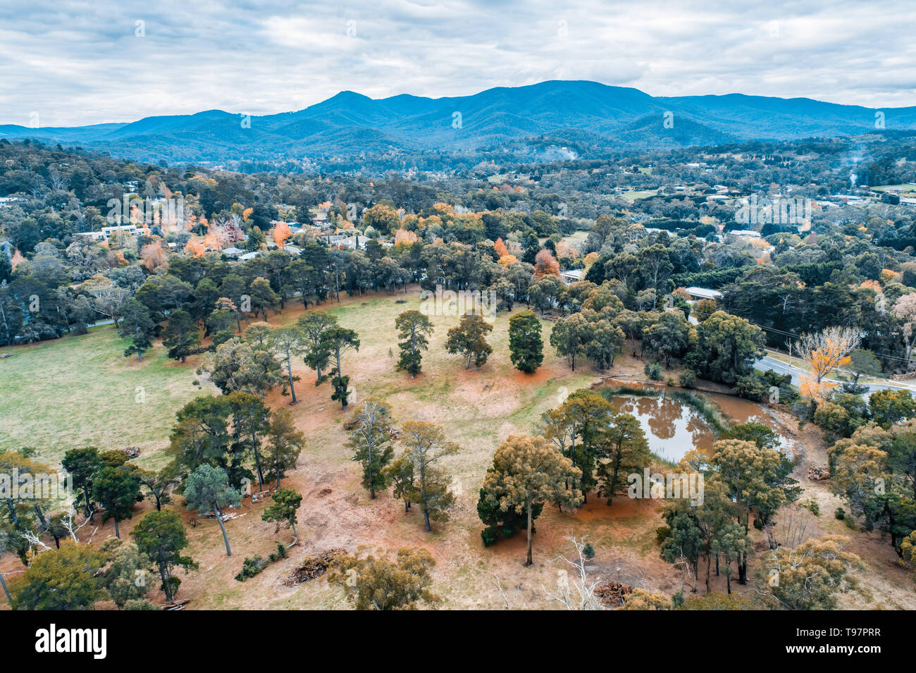 Aerial view of grasslands and trees in autumn in Victoria, Australia ...