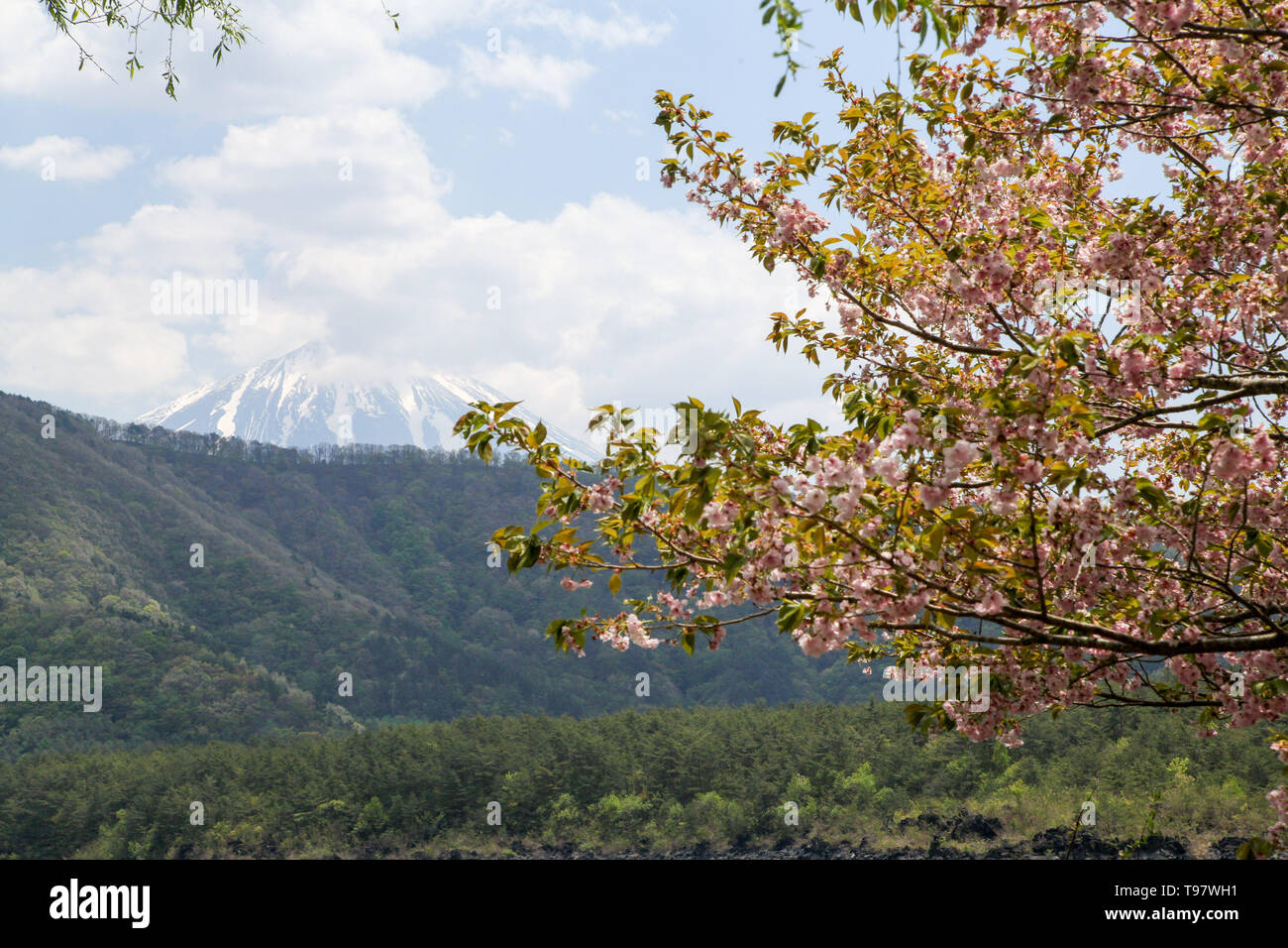 Mount Fuji, Japan Stock Photo - Alamy