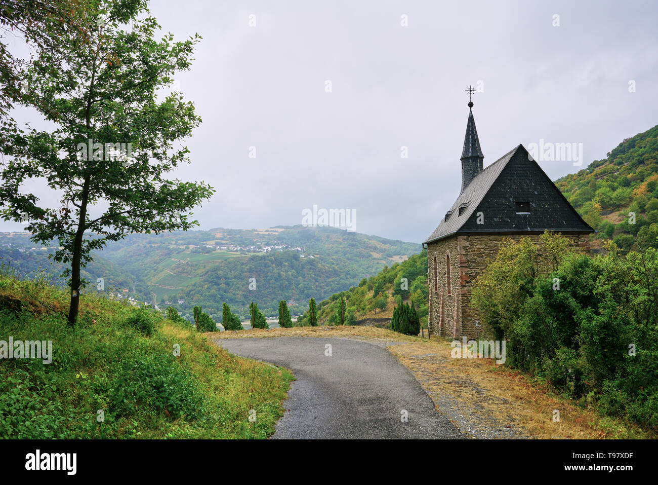 Hiking Path on Famous Rheinsteig Route in Germany Stock Photo - Alamy
