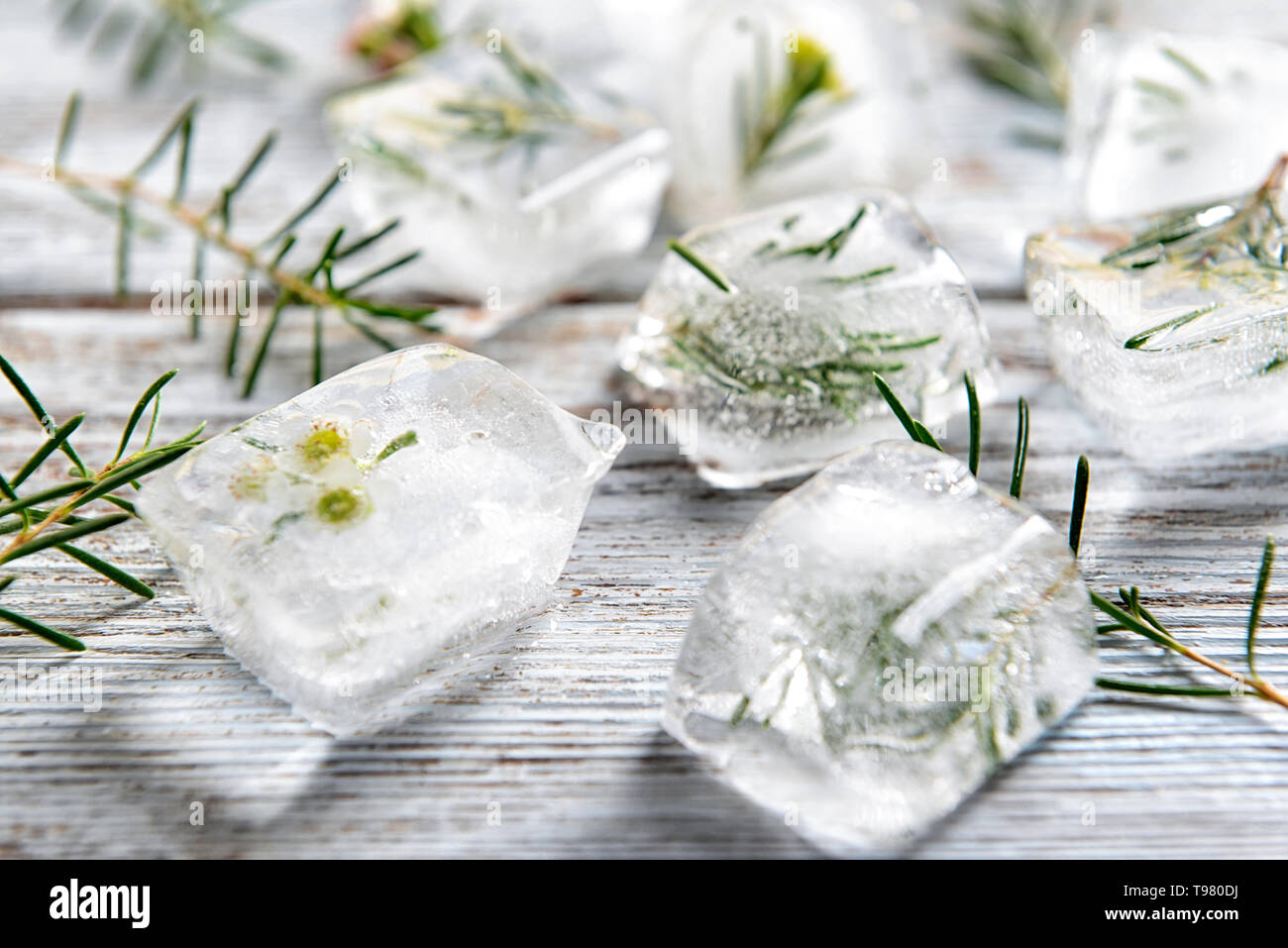 Plants frozen in ice cubes on light wooden background Stock Photo - Alamy