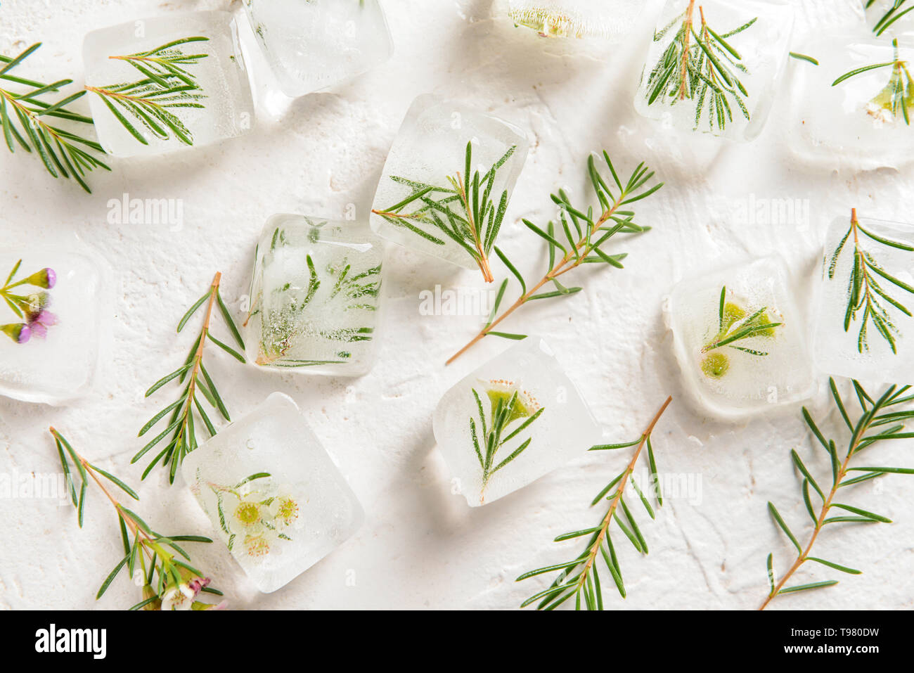 Plants frozen in ice cubes on white background Stock Photo - Alamy