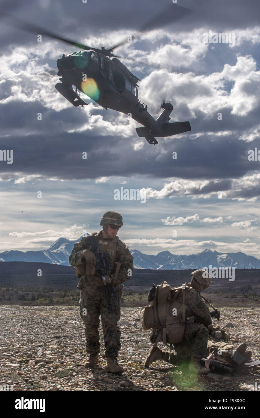 U.S. Marines with 2nd Battalion, 7th Marines, Special Purpose Marine ...