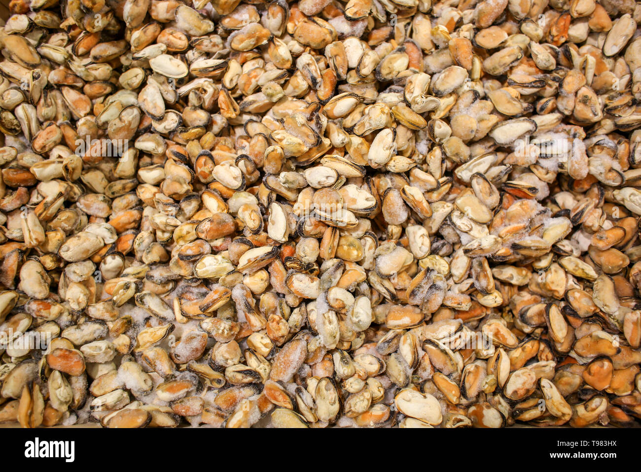 Frozen mussels, top view Stock Photo - Alamy