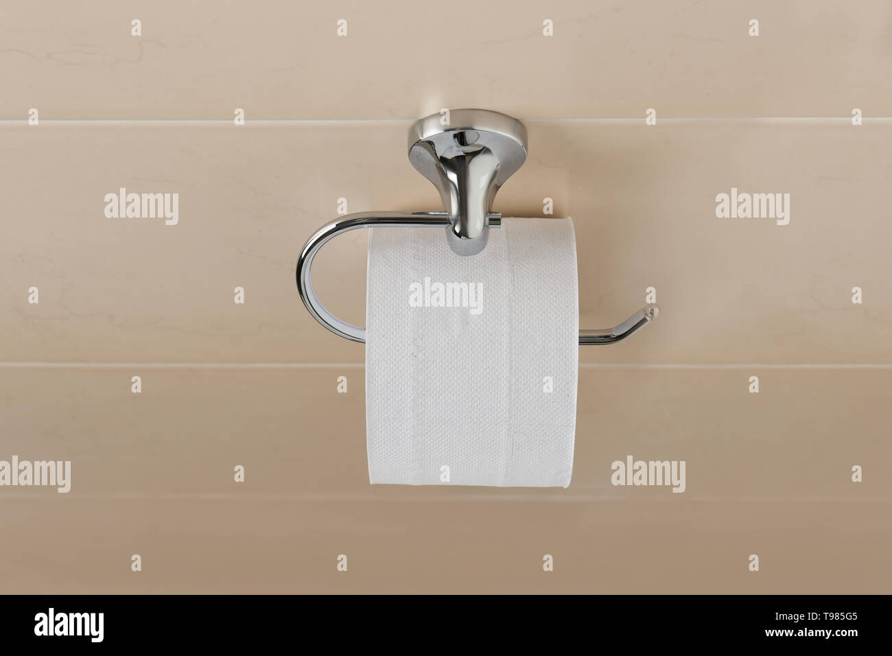 Roll of toilet paper in restroom Stock Photo - Alamy