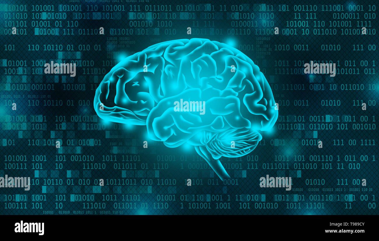 Digital brain concept binary code hi-res stock photography and images ...
