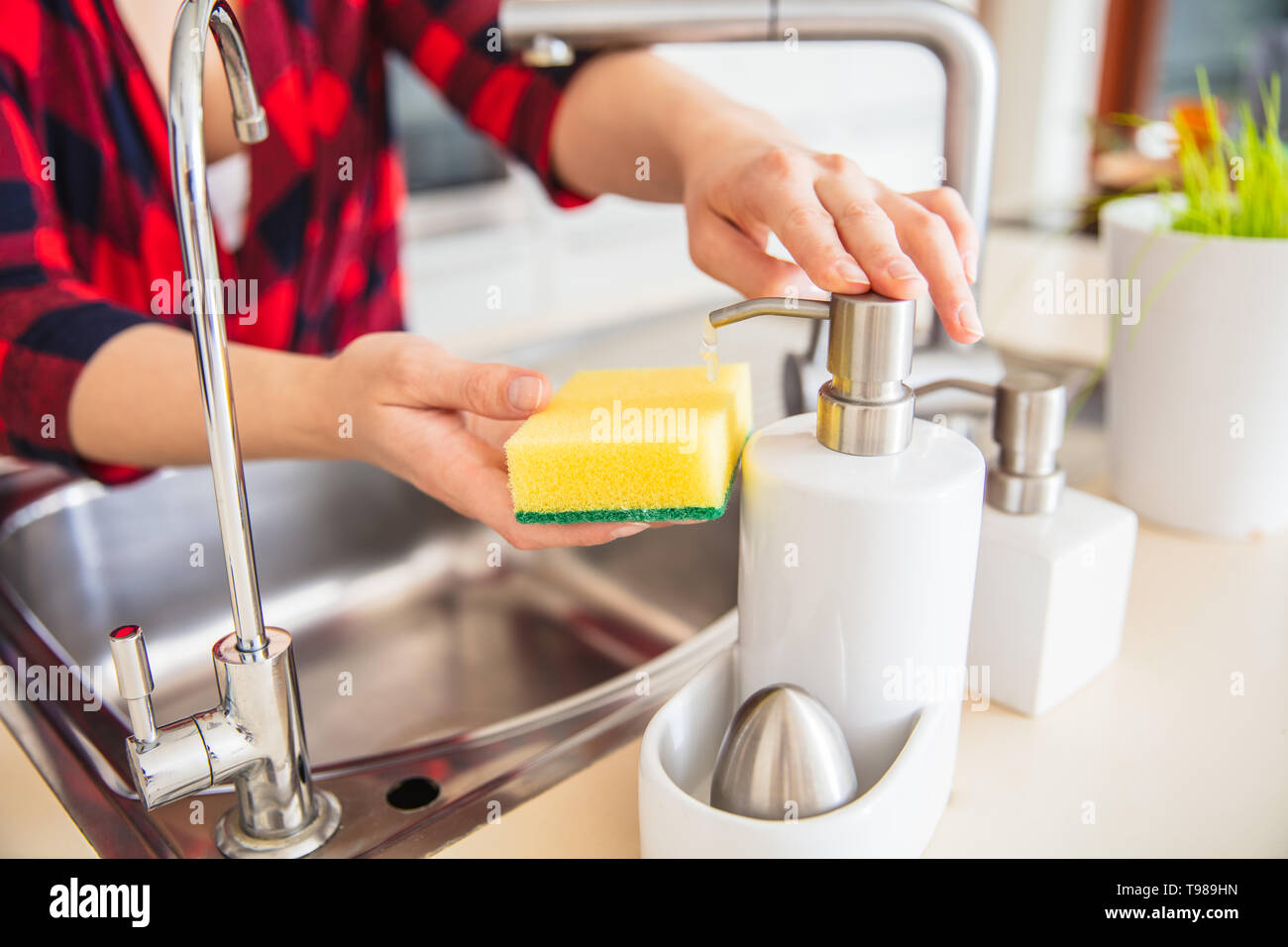 Woman is dosing the soap on the sponge in the kitchen Stock Photo - Alamy