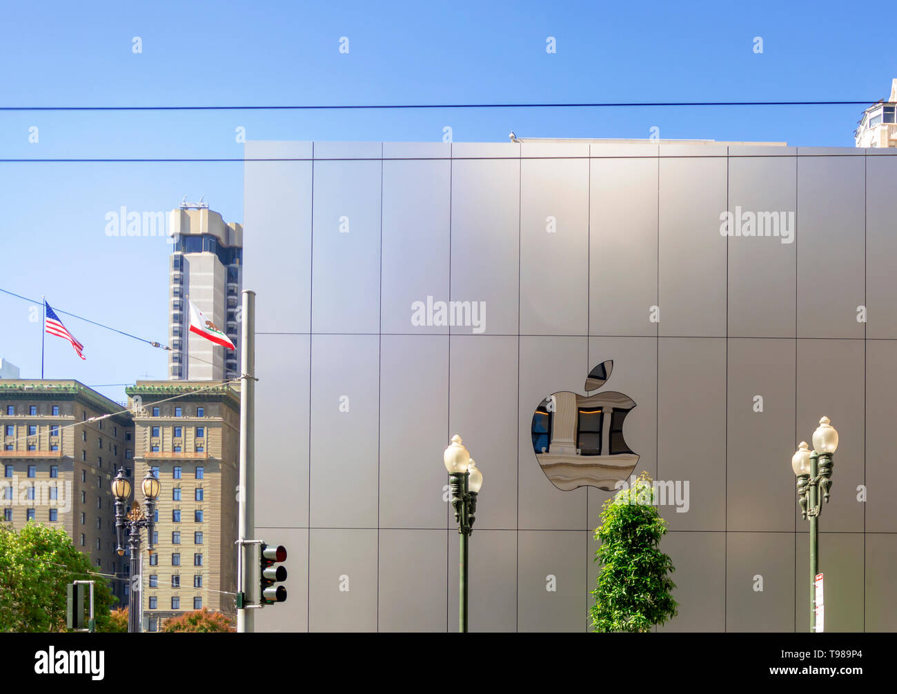 Modern tree logo hi-res stock photography and images - Alamy