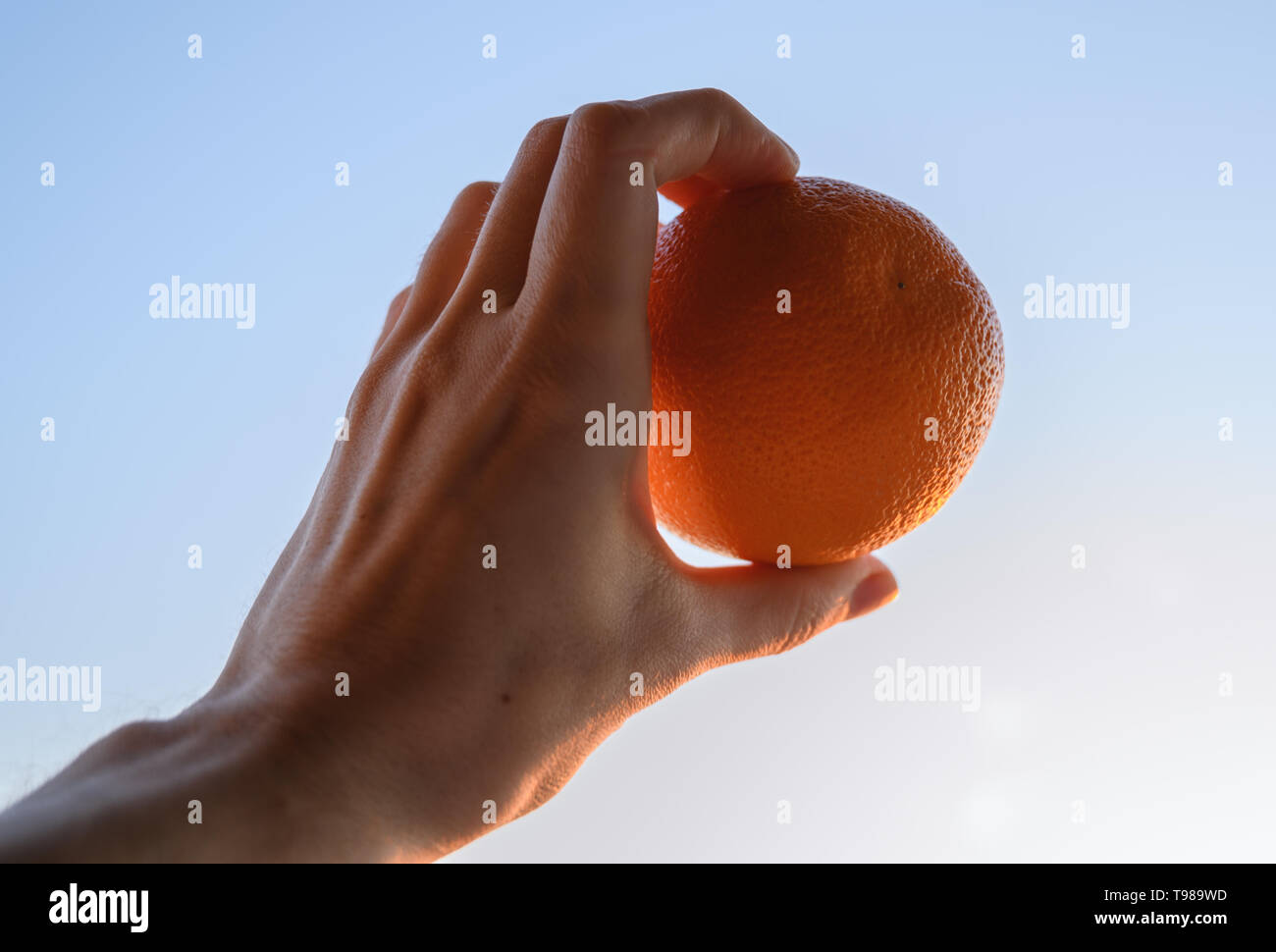 Hands hold ripe orange hi-res stock photography and images - Alamy
