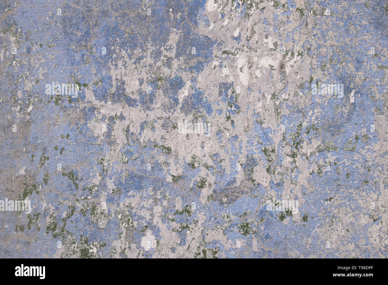 Concrete wall covered with an old azure paint, and parts of moss. It ...
