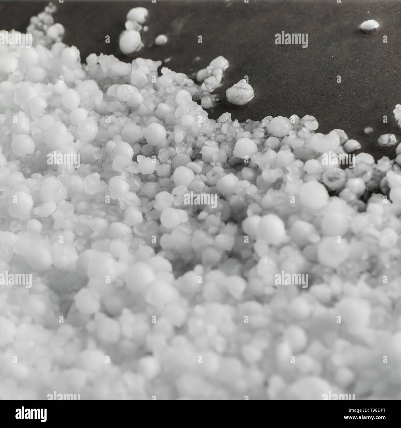 Hailstones after hailstorm, hail of medium size. Disasters. Concept of ...