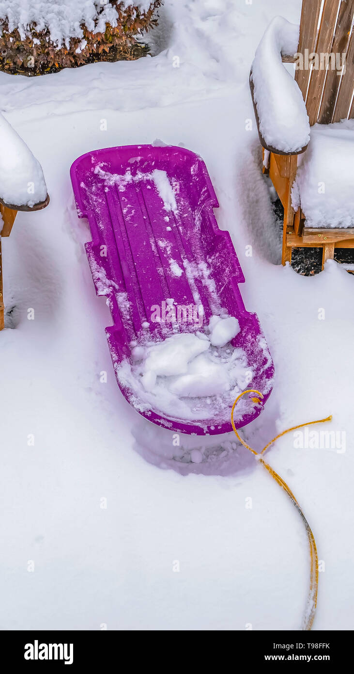 Clear Vertical Wooden chairs and purple sled against powdery white snow ...