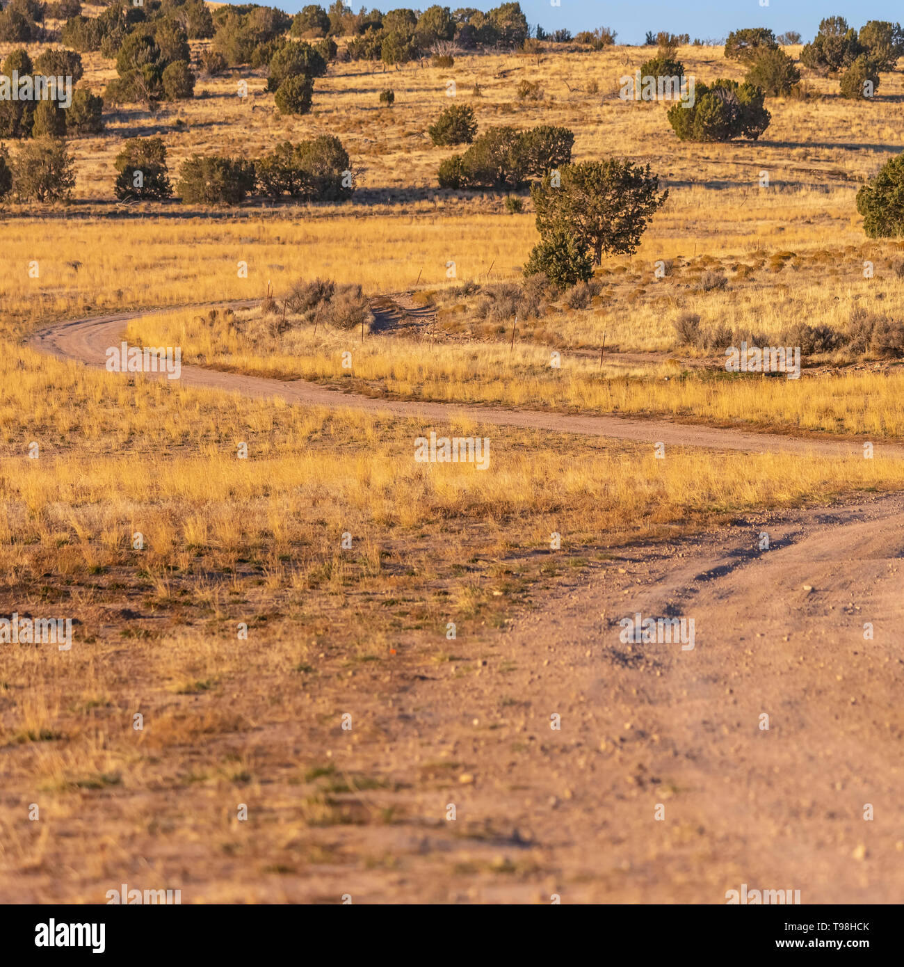 Clear Square Unpaved trail winding through a vast grassy terrain viewed ...