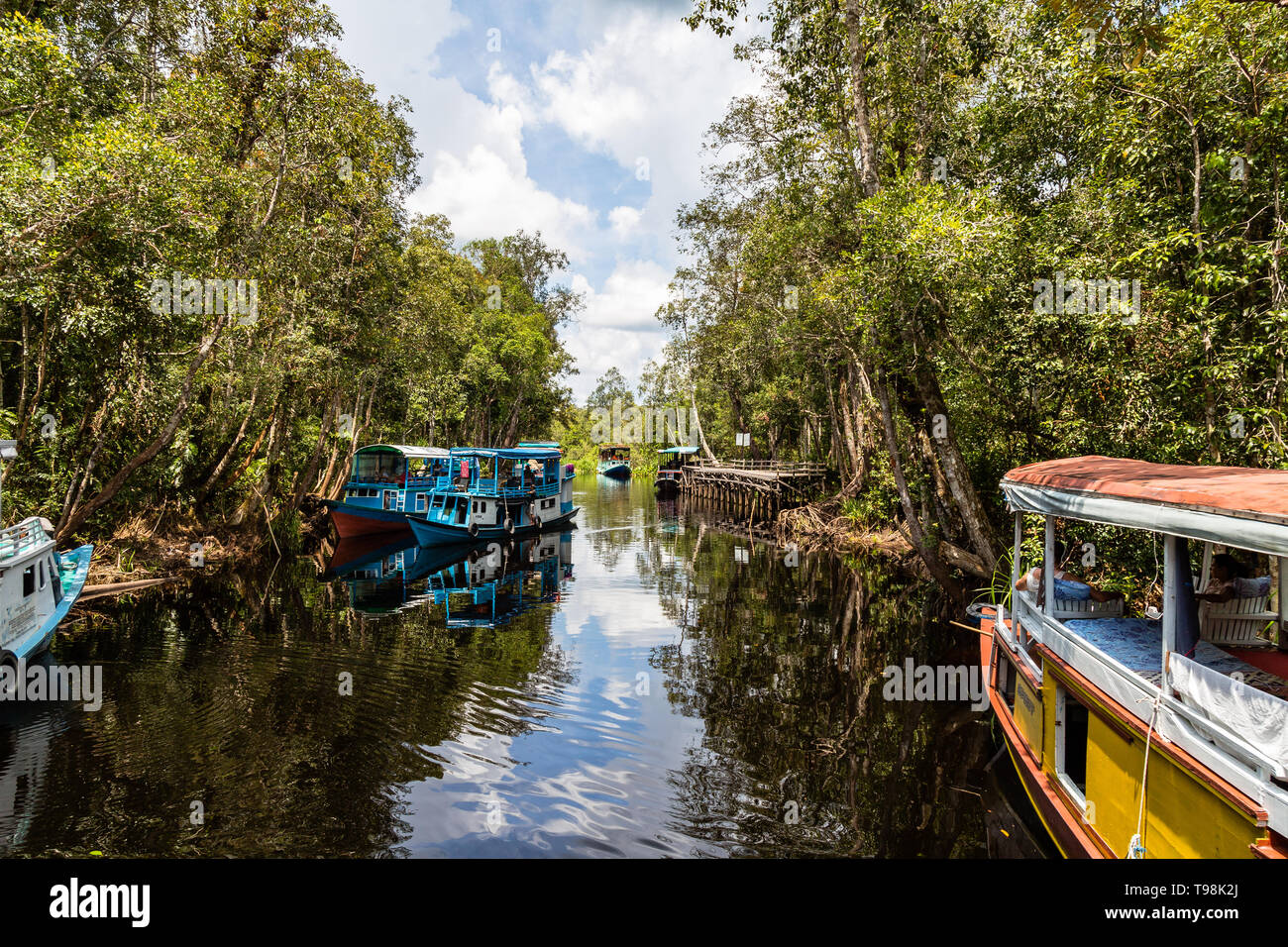 Kumai river river boat hi-res stock photography and images - Alamy