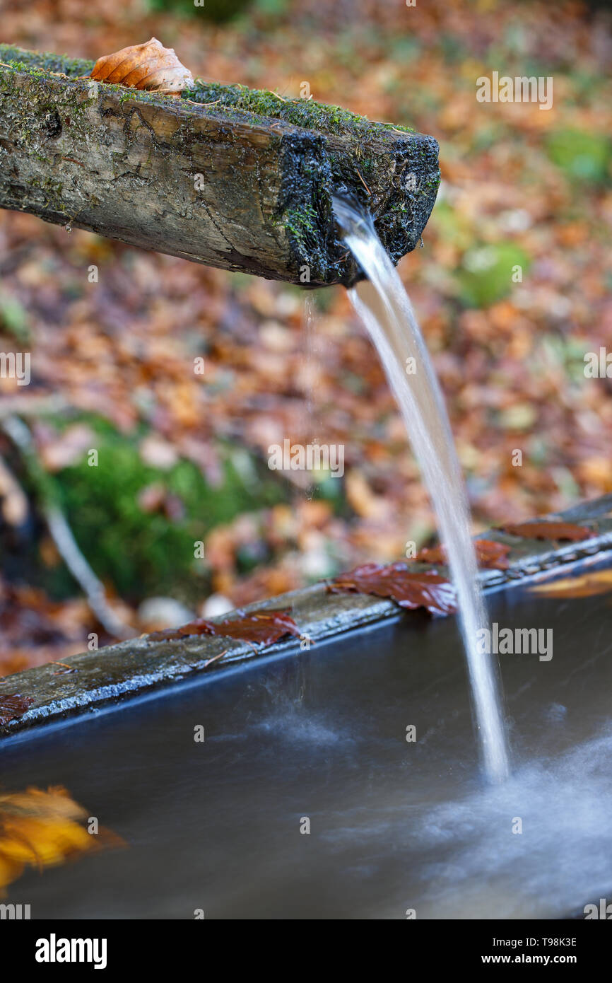 Mountain spring of pure, clear, fresh water with water trough in the ...