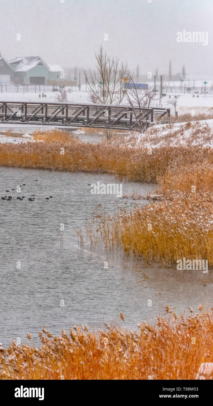 Vertical Lakefront homes in Daybreak viewed in winter Stock Photo - Alamy