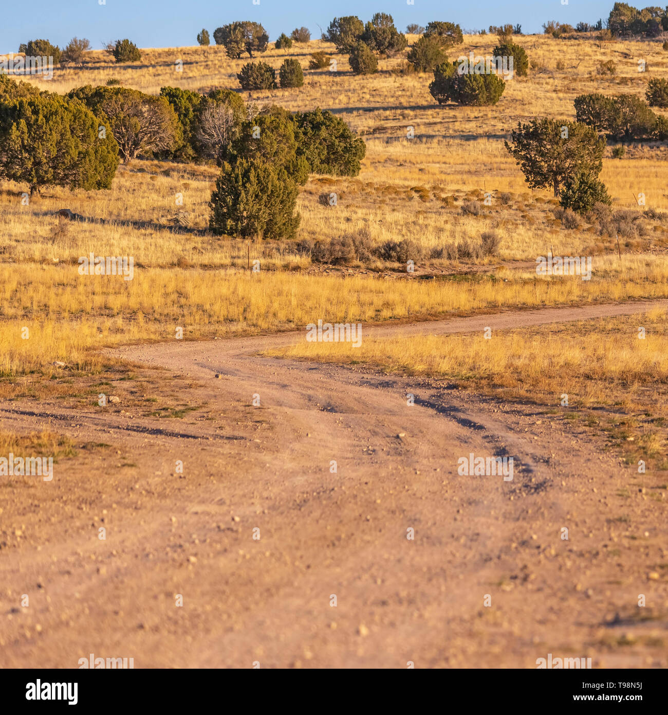 Unpaved pathway hi-res stock photography and images - Alamy