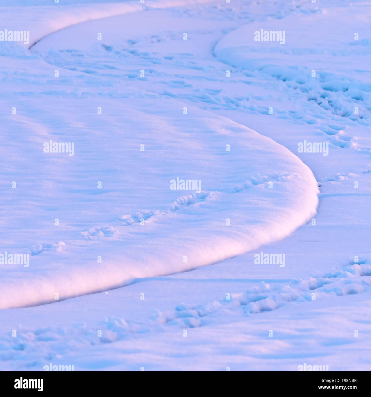 Footprints square hi-res stock photography and images - Alamy