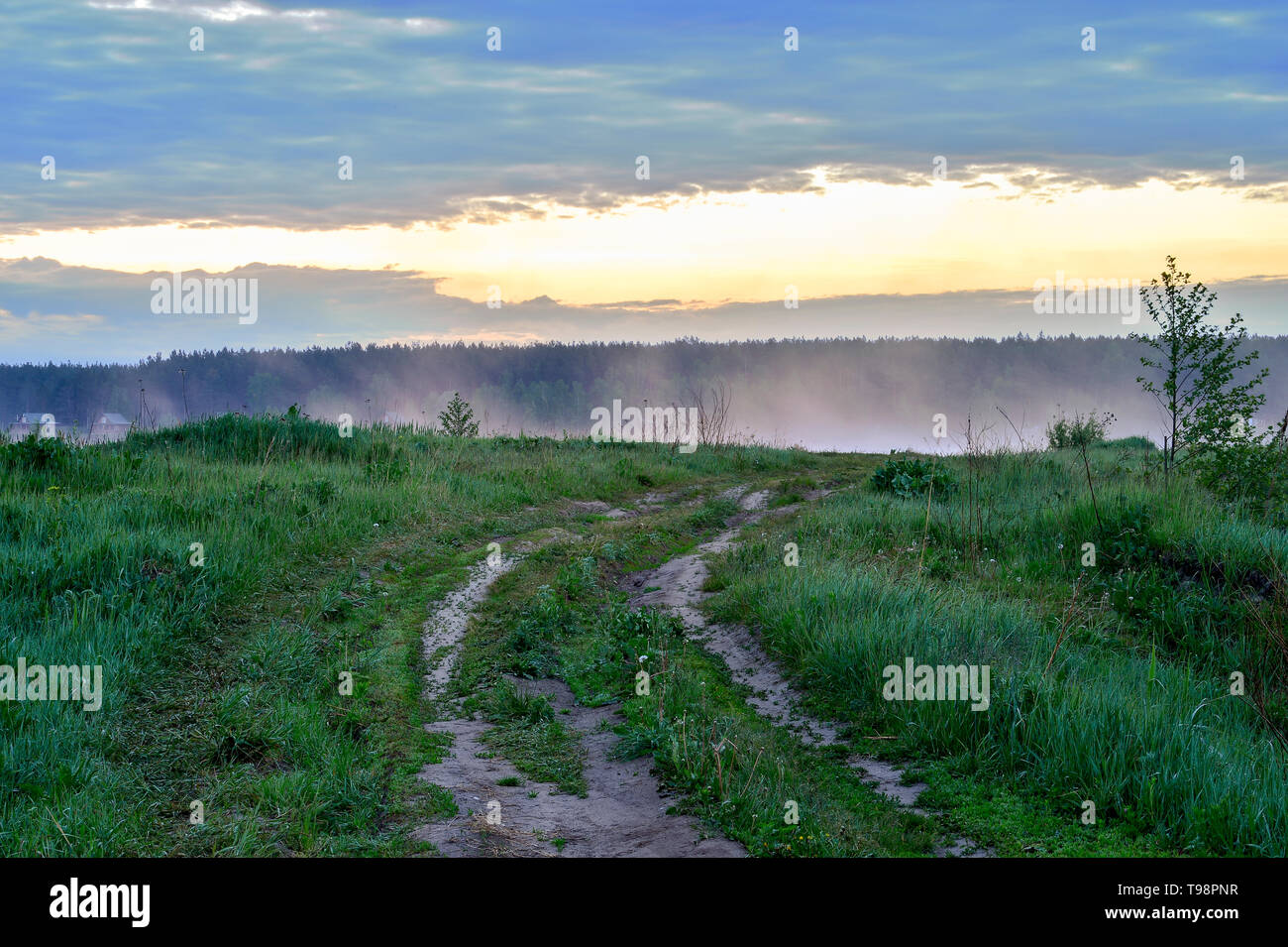 Dirt road to the lake in dawn mist Stock Photo - Alamy