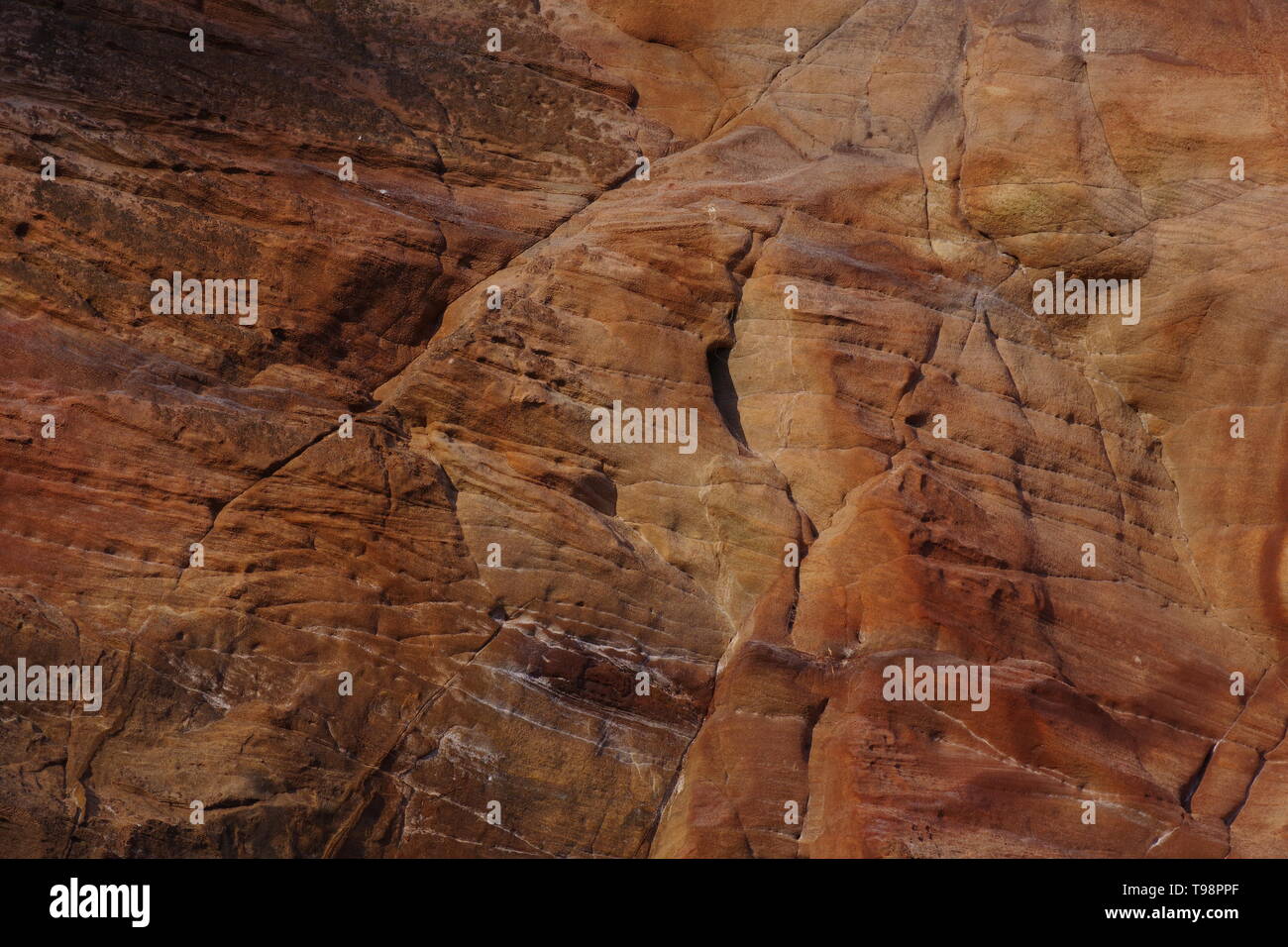 Geology Close Up Natural Background of Red Carboniferous Sandstone of ...