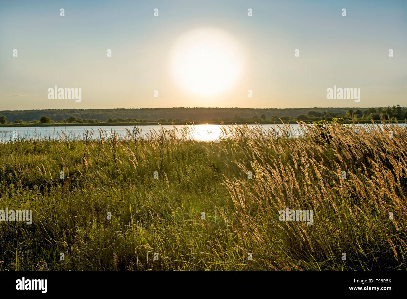 Long distance sedge hi-res stock photography and images - Alamy