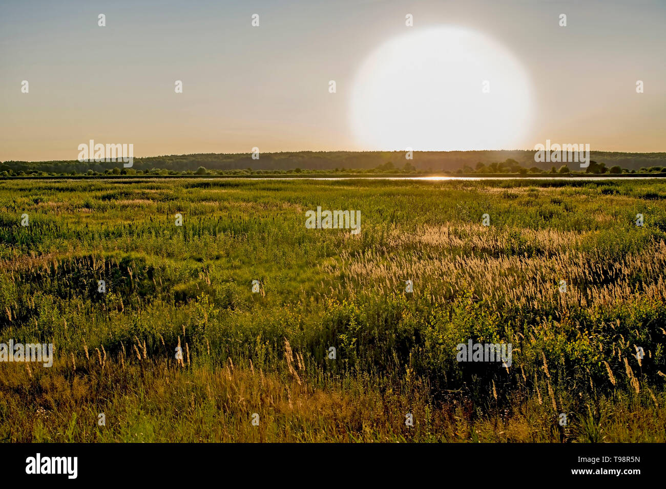 Long distance sedge hi-res stock photography and images - Alamy