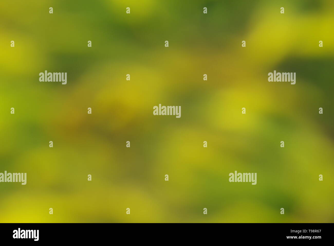Fibrous algae hi-res stock photography and images - Alamy