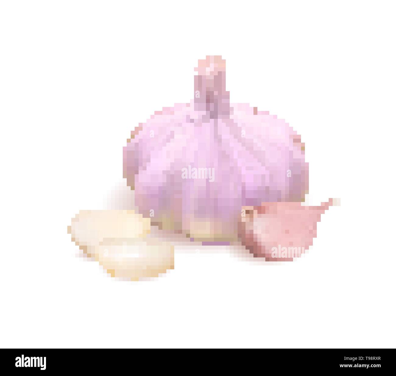 Garlic realistic 3d Vector isolated illustration Stock Vector Image ...