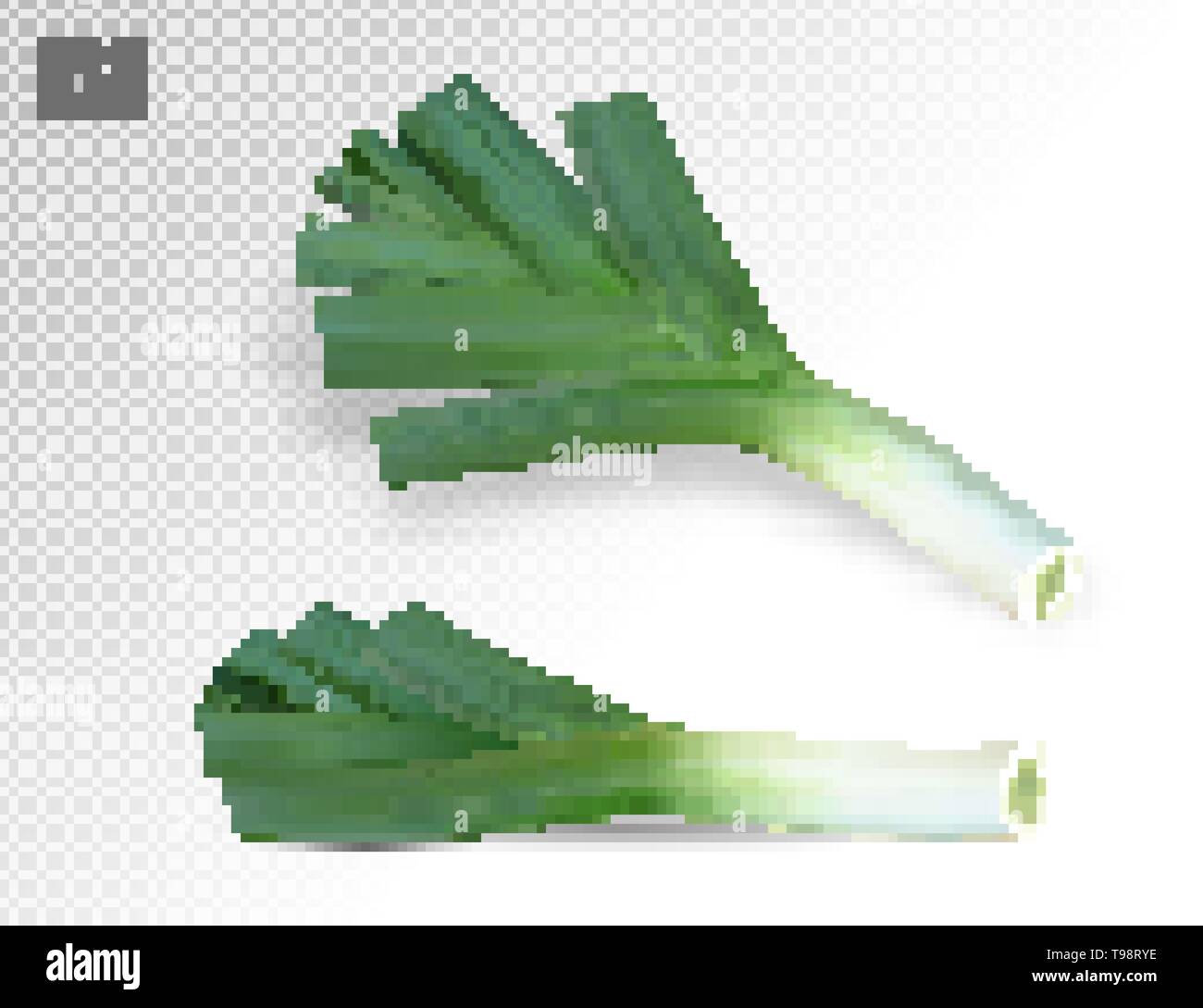 Fresh leek on a white background. Photo realistic vector, 3d Stock ...