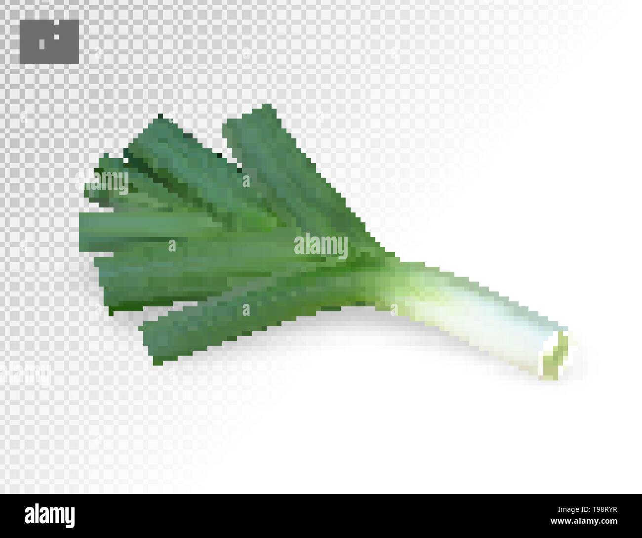 Fresh leek on a white background. Photo realistic vector, 3d Stock ...