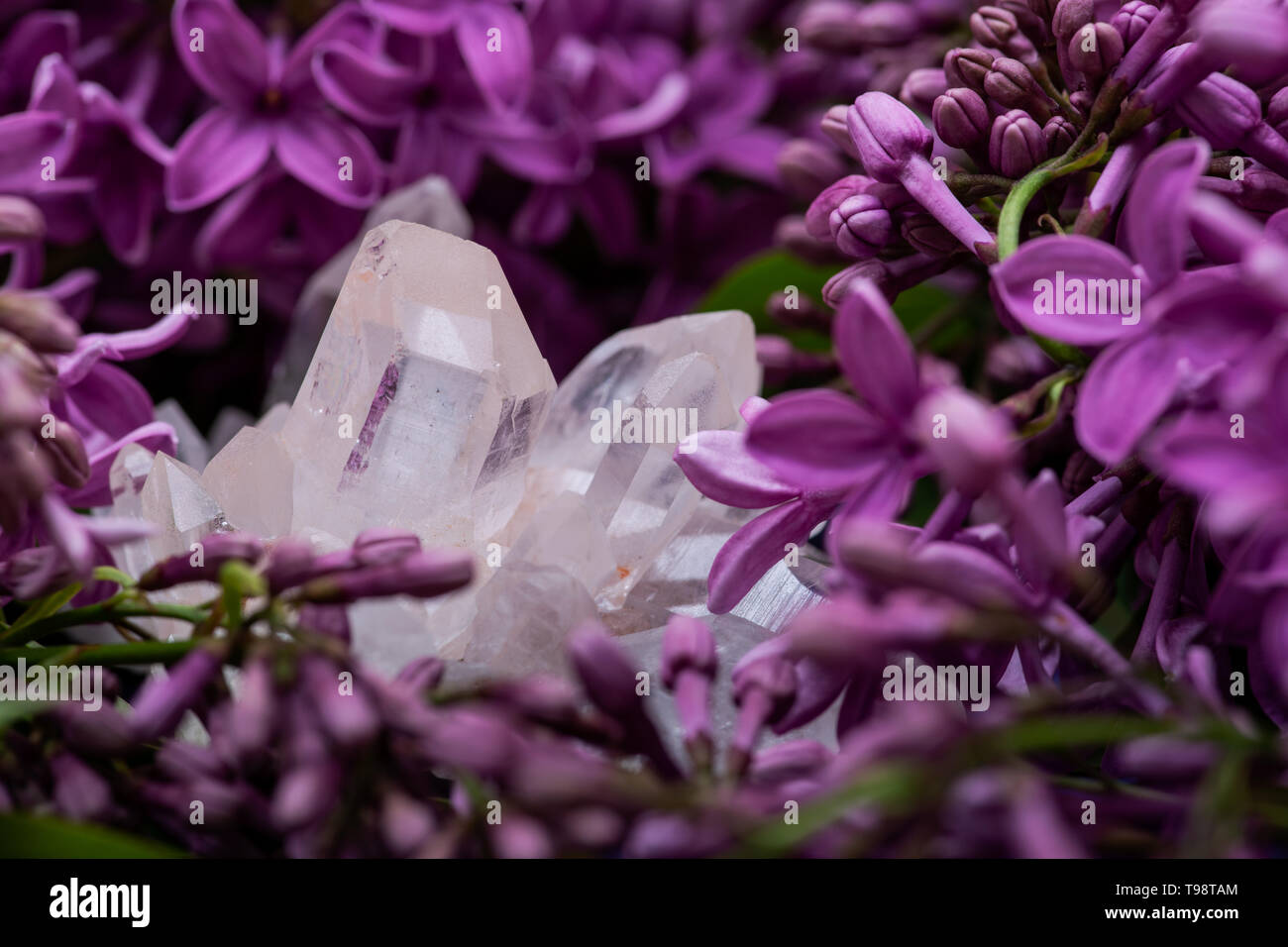 Himalayan Clear Quartz Clusters with Hematite inclusions surrounded by ...